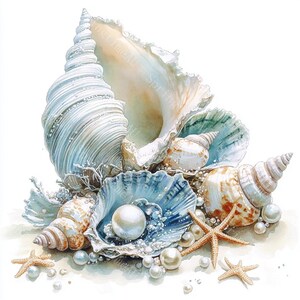 18 Gorgeous Sea Shells Clipart, Seashell Clipart, Ocean Sea Clipart ...