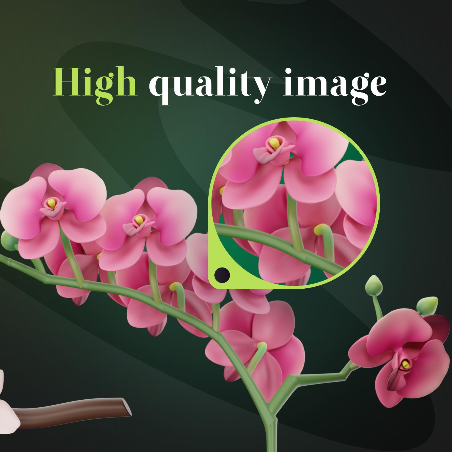 Flowy - Flower 3D Icon Set | Modern High Quality Realistic 3D Icon for ...