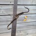Antique Farm Scale Hanging Cast Iron Balance Beam Arm & Hooks ...