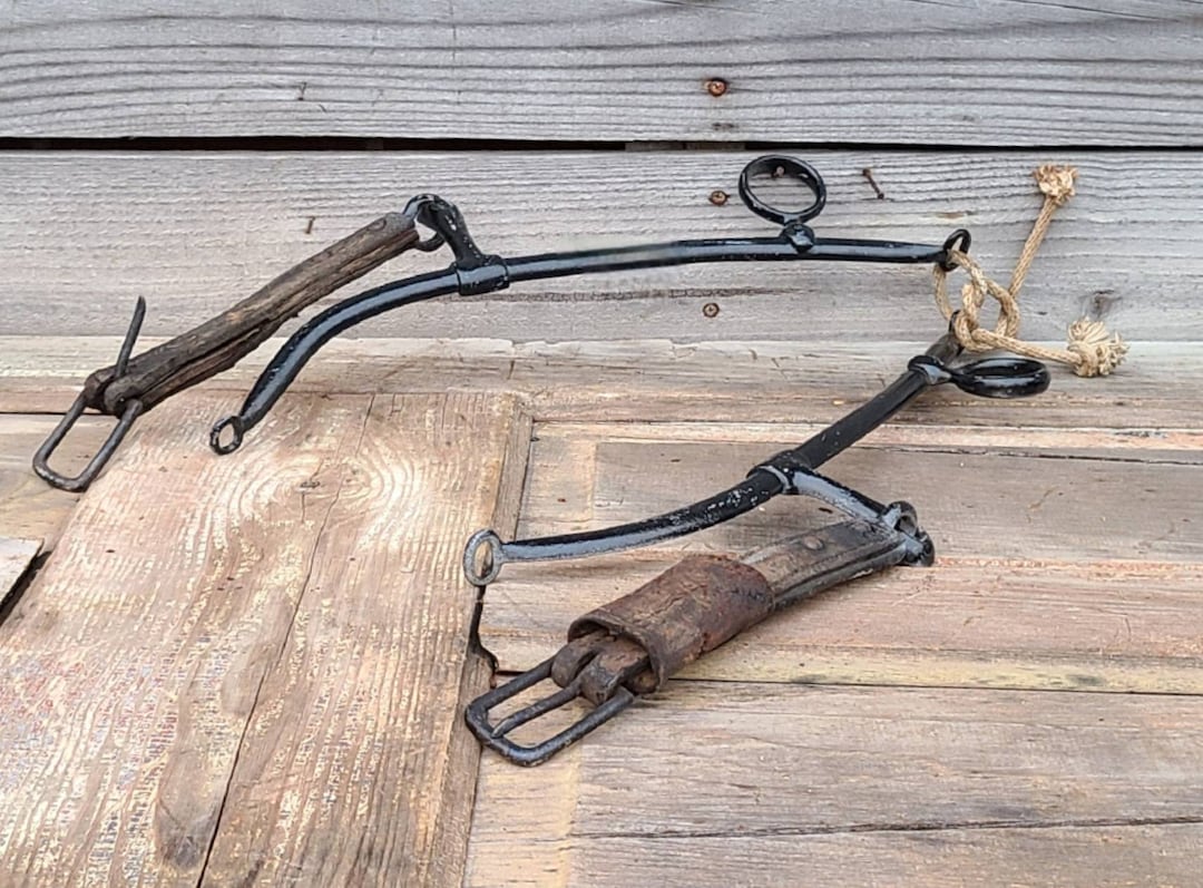 Iron and Leather Horse Hames, Antique Horse Gear - Etsy