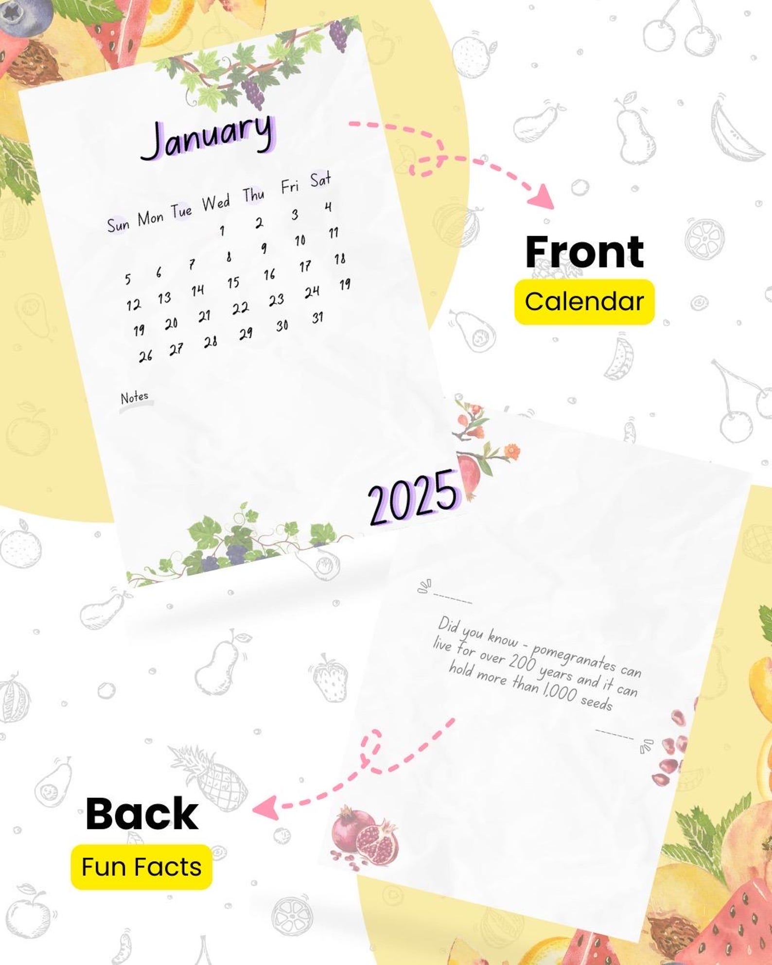 2025 Calendar Printable, Informative Calendar, Wall Calendar PDF - Etsy