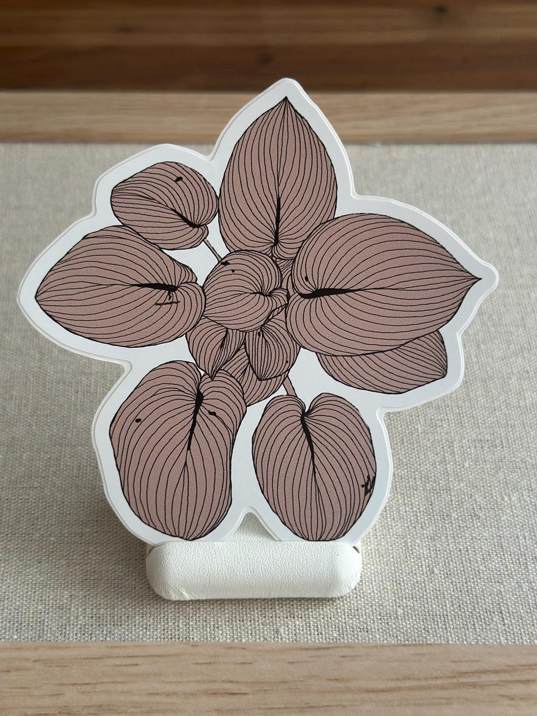 Blush Pink Whale Tale Hosta Plant Sticker: Waterproof Vinyl Decal - Etsy