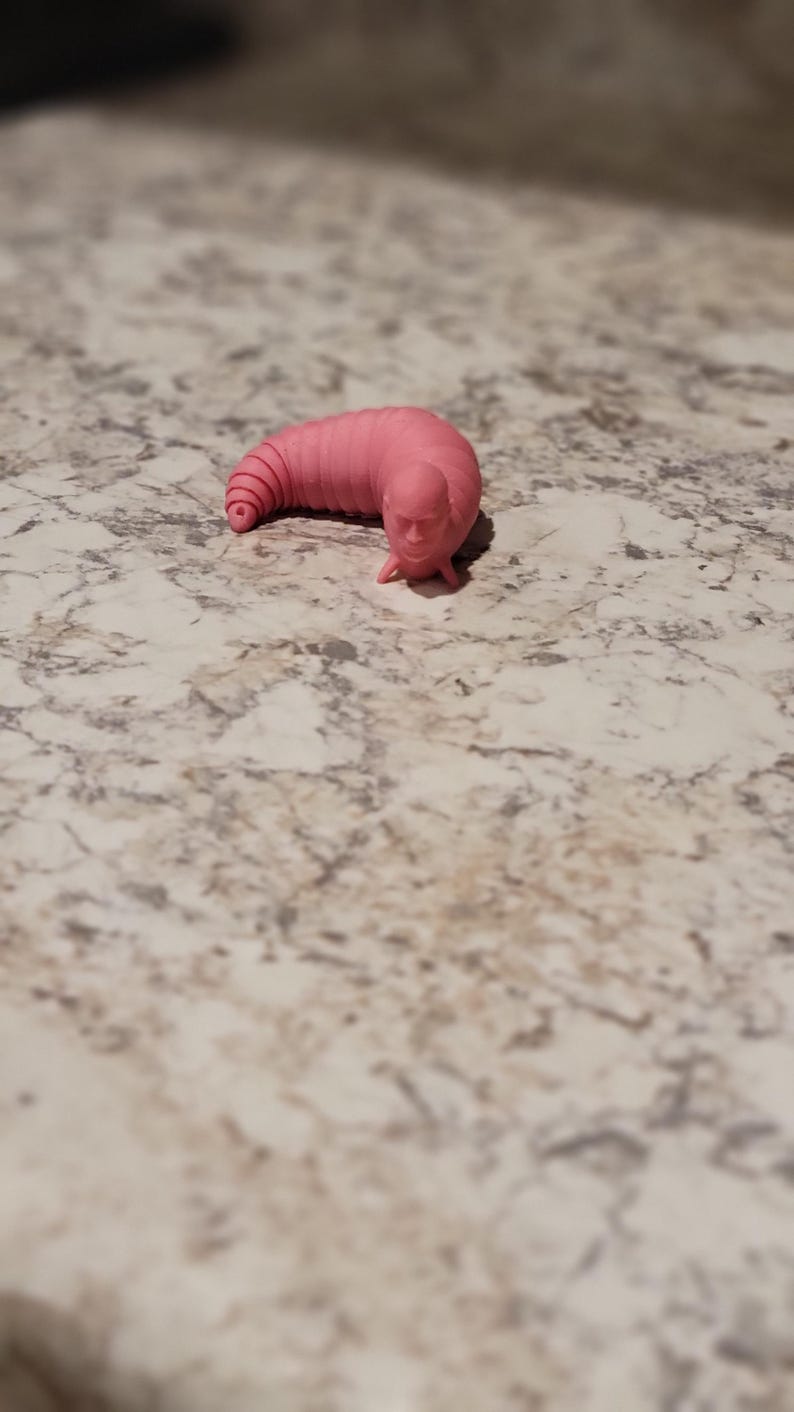 Fidget Slug Keyring - Dwayne "the Rock" Johnson Head, Stress Relief Toy ...