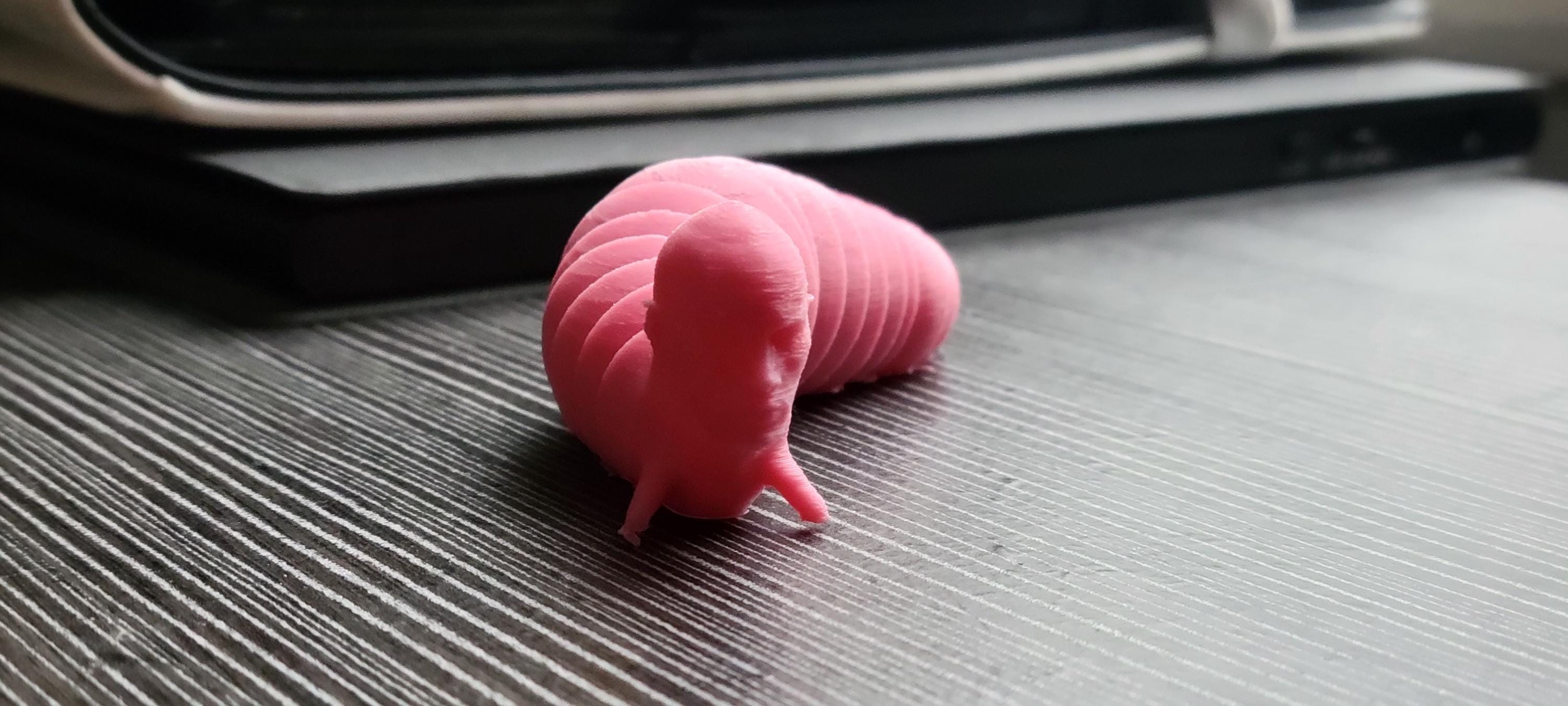 Fidget Slug Keyring - Dwayne "the Rock" Johnson Head, Stress Relief Toy ...