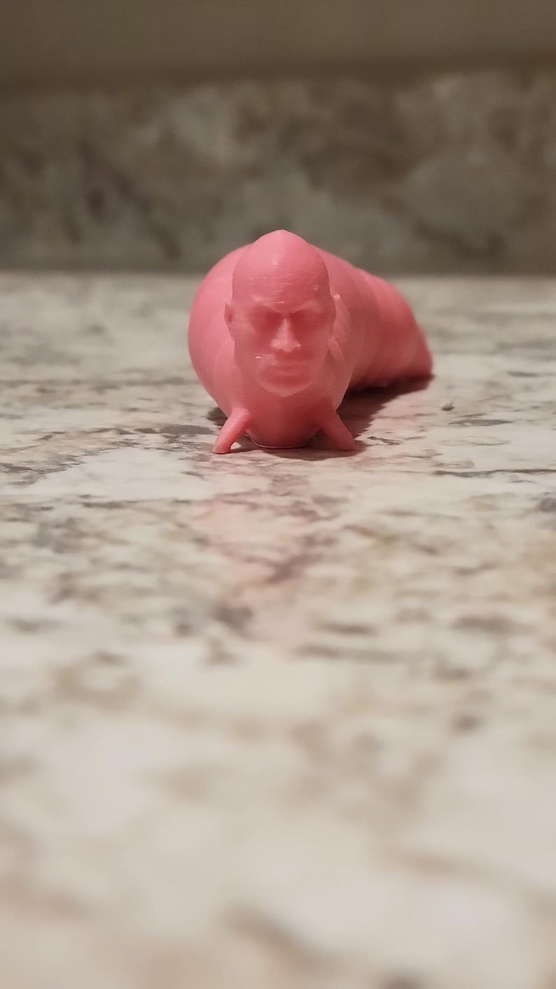 Fidget Slug Keyring - Dwayne "the Rock" Johnson Head, Stress Relief Toy ...