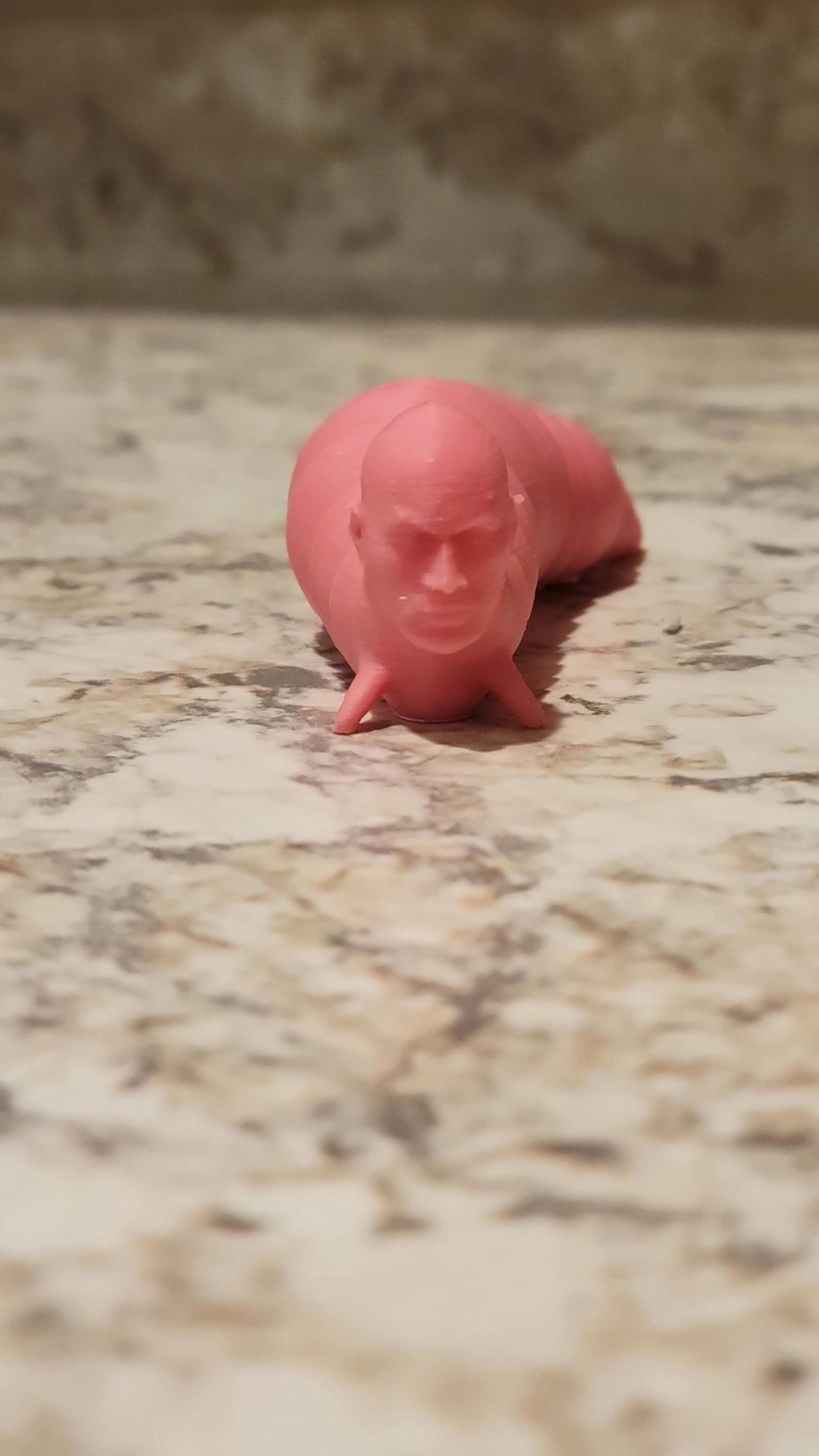 Fidget Slug Keyring - Dwayne "the Rock" Johnson Head, Stress Relief Toy ...