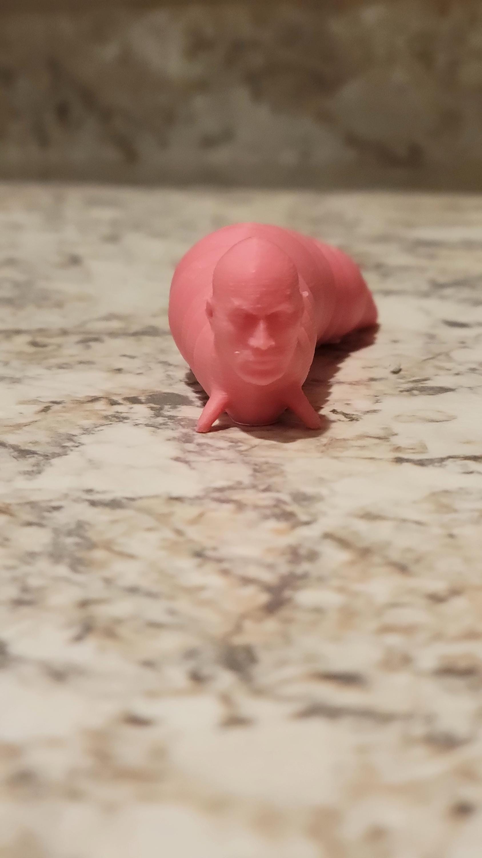 Fidget Slug Keyring - Dwayne "the Rock" Johnson Head, Stress Relief Toy ...