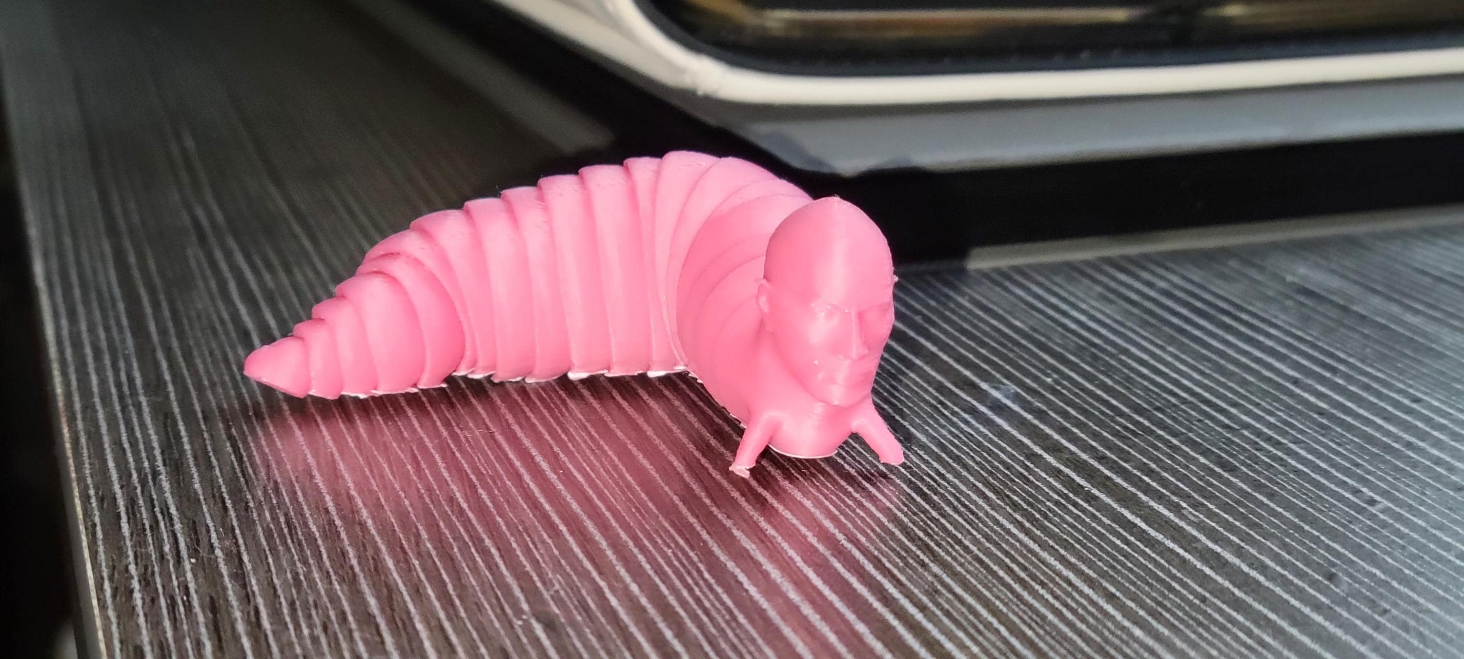 Fidget Slug Keyring - Dwayne "the Rock" Johnson Head, Stress Relief Toy ...