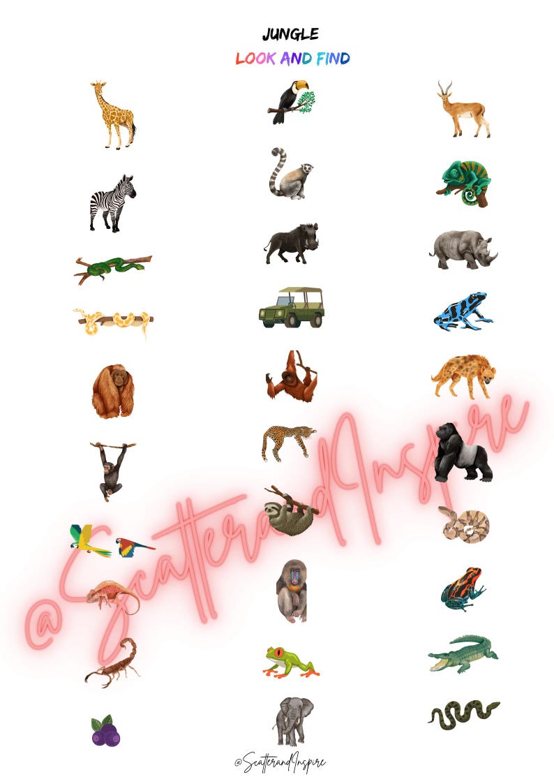 Jungle Look and Find Poster | Kids' Printable Activity | Jungle Animals ...