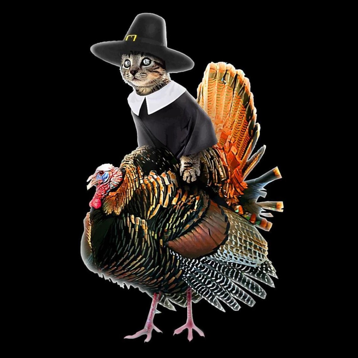 Thanksgiving Cat PNG, Pilgrim Hat Kitty, Turkey and Cat Funny Quote ...