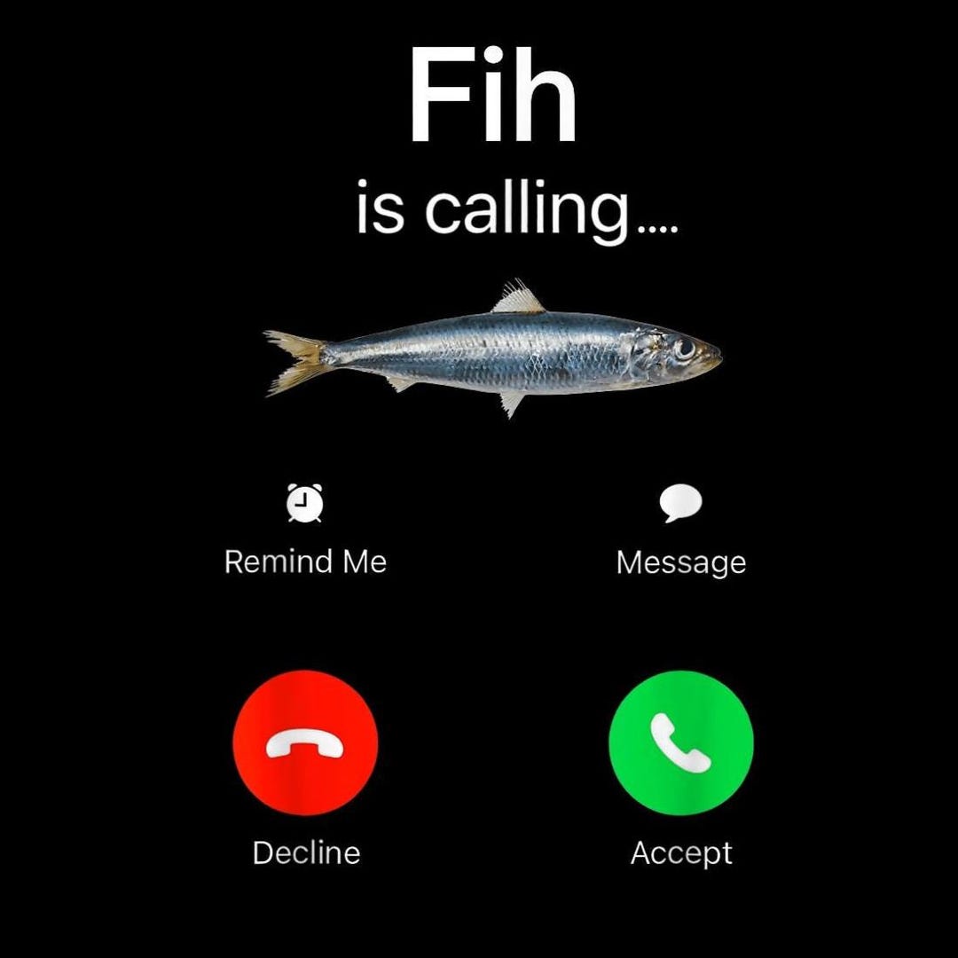 Fih Calling Funny Fish PNG, Remind Me Decline Accept, Phone Screen Fish ...