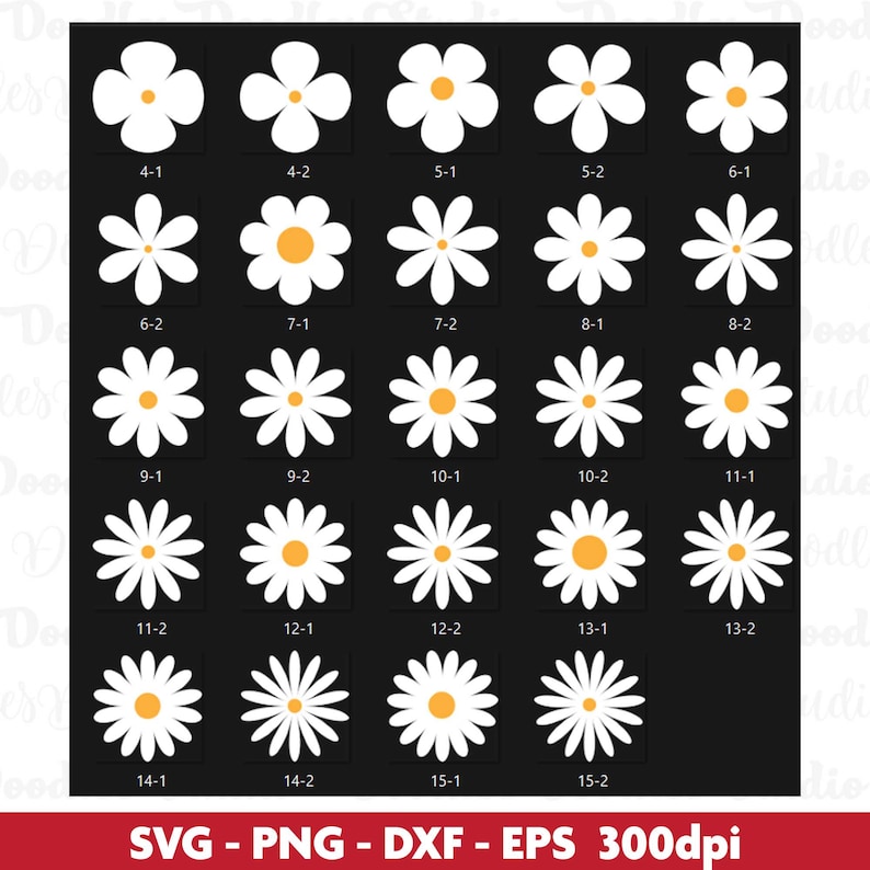 Daisy Flower SVG Bundle, Cut Files for Cricut (digital Download) - Etsy