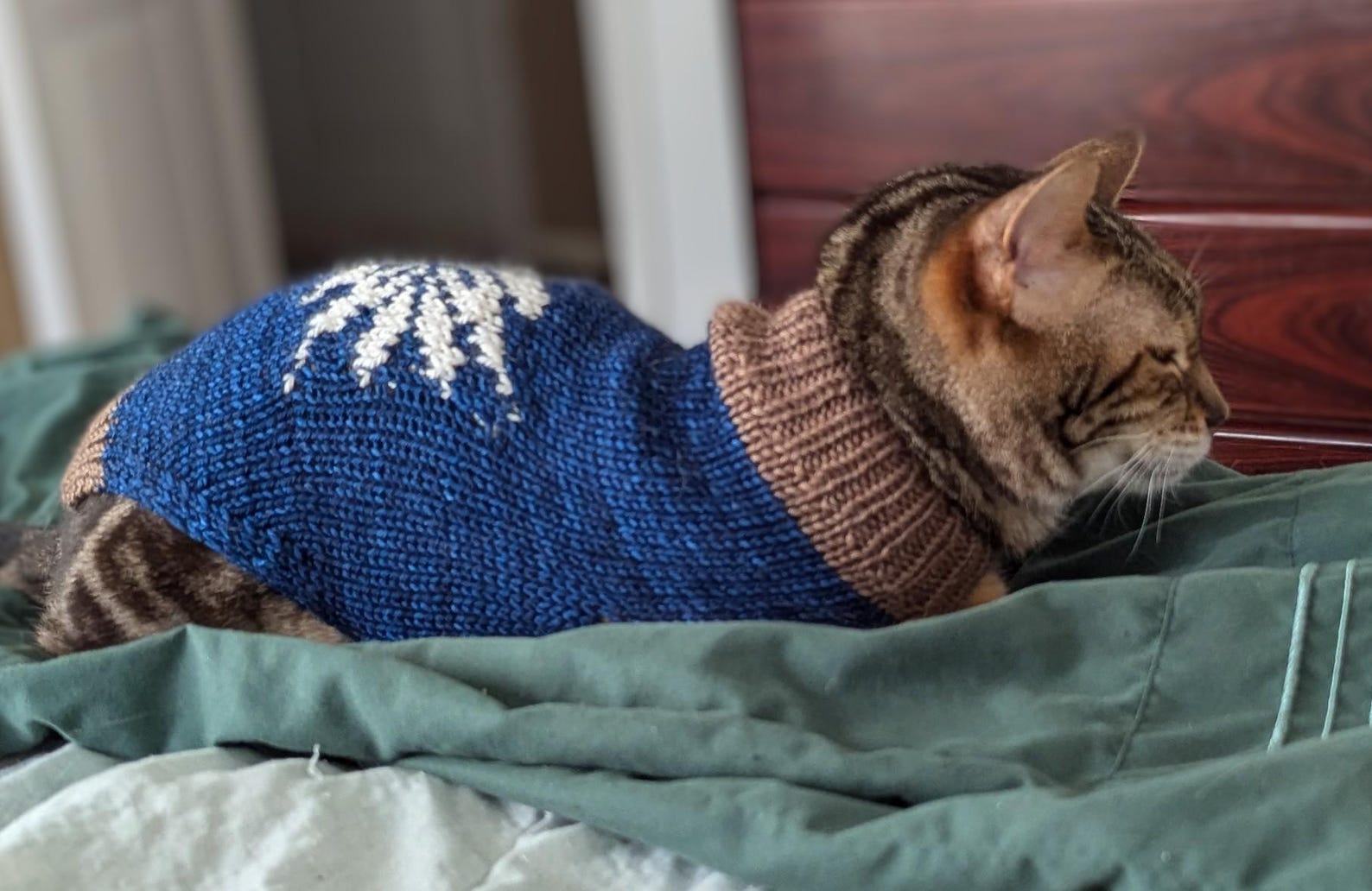 Custom Knitted Cat Sweaters - Etsy