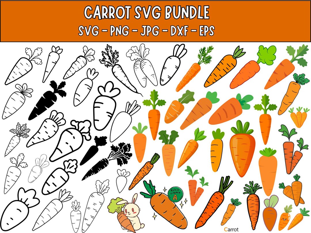 Carrot SVG Bundle: Clipart, PNG, Cut Files (digital Download) - Etsy