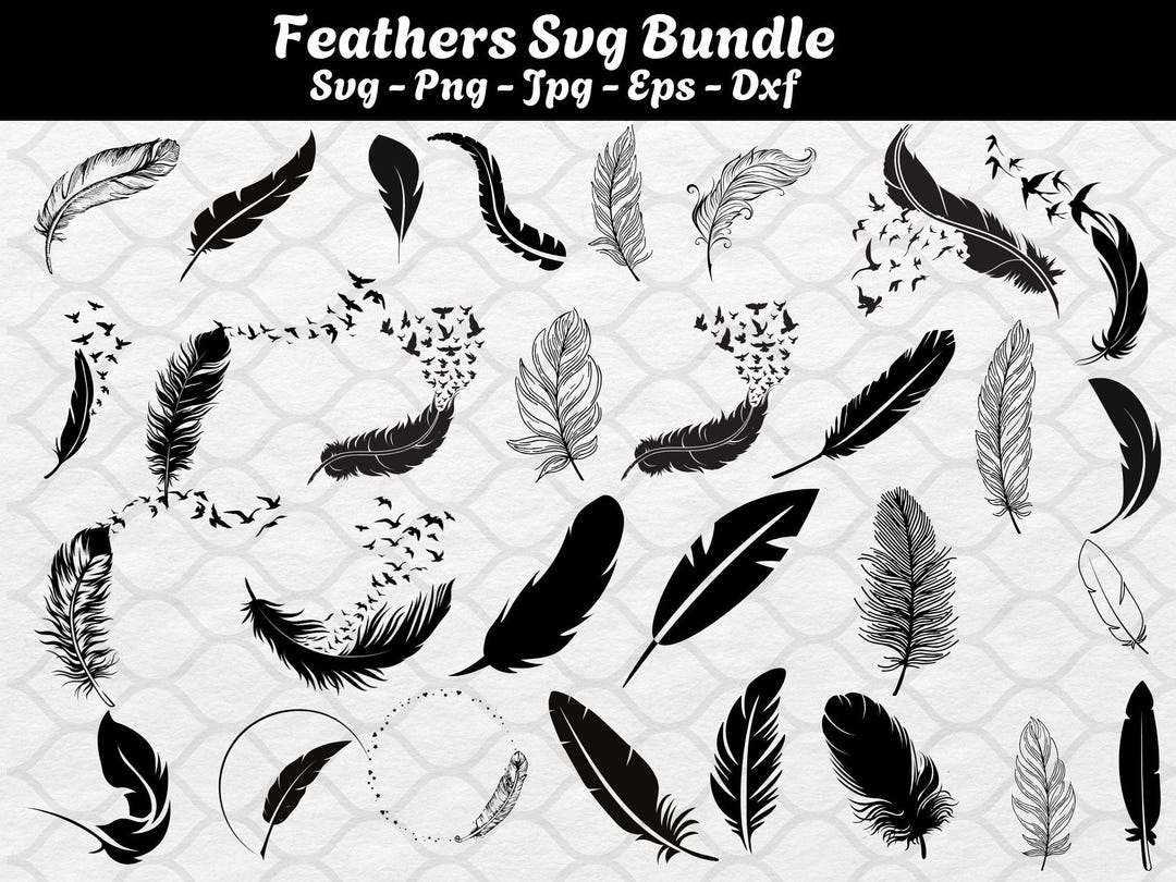 Feather Birds Svg, Feather Svg Bundle, Flying Birds Feather Svg ...