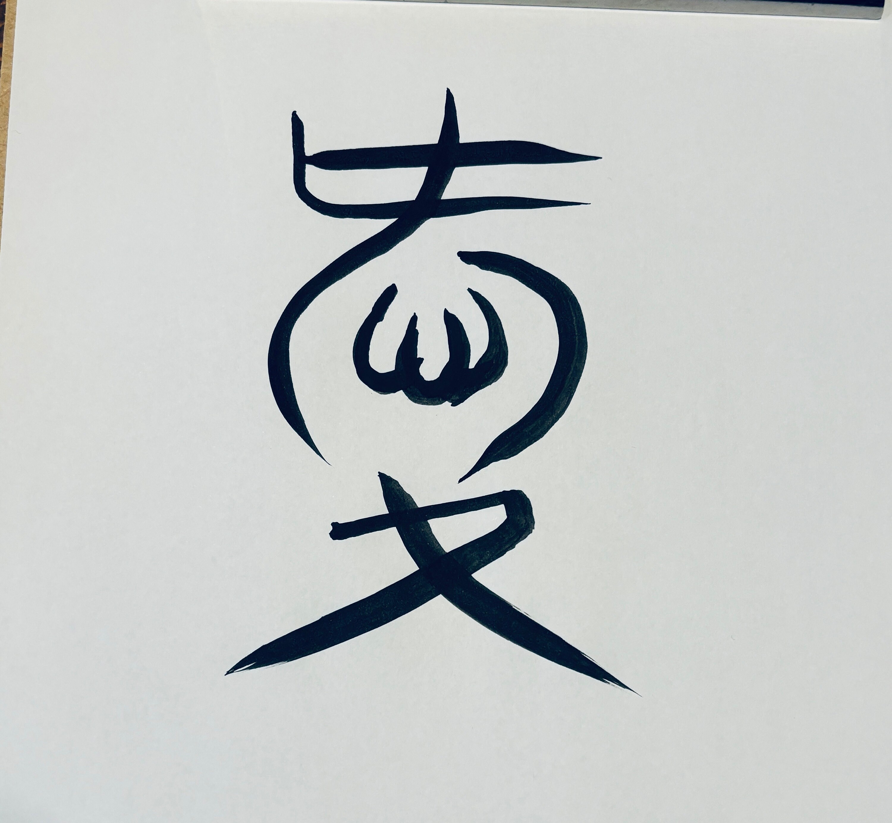 Chinese Caligraphy Art Traditional Oracle Bone Script on Canvas - Etsy