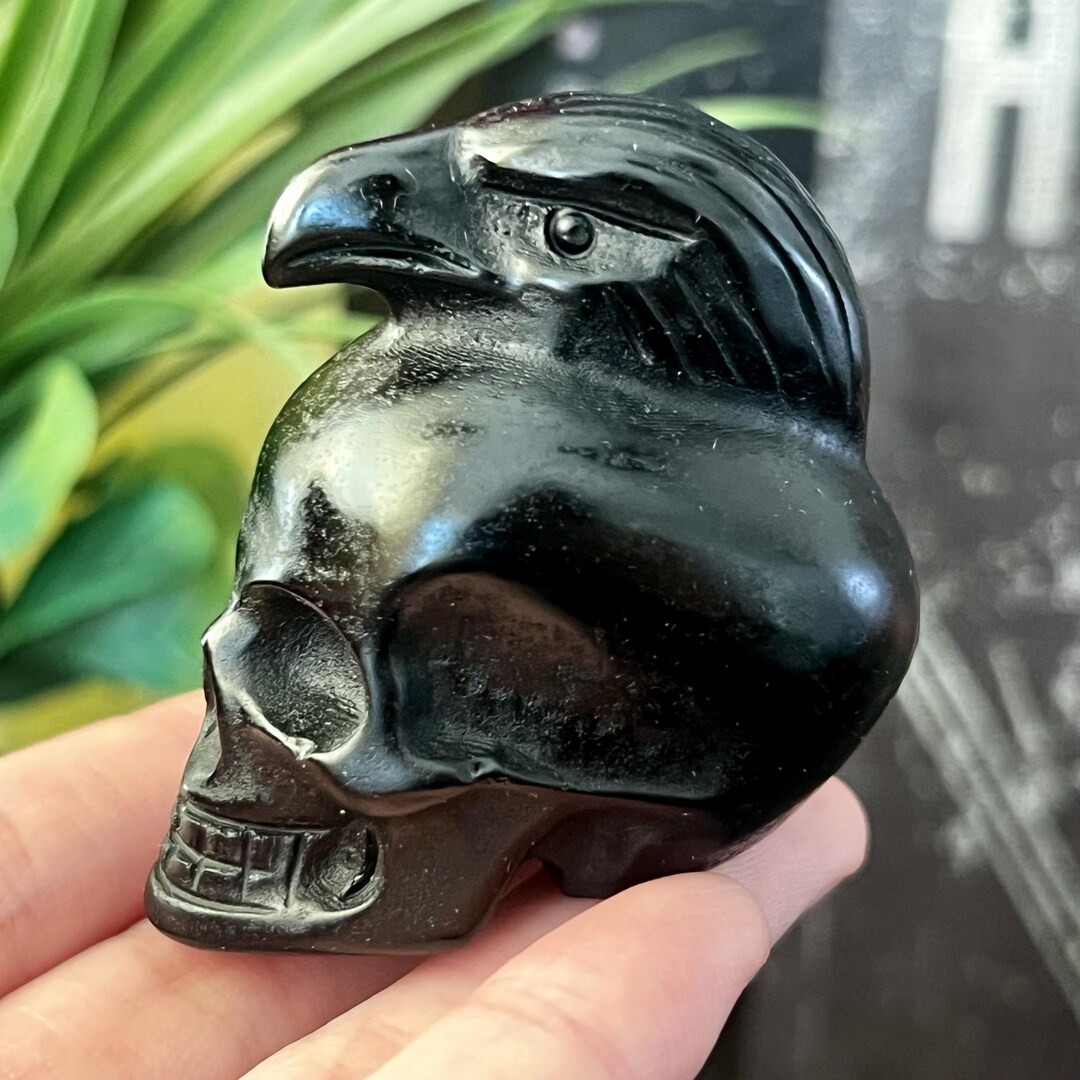 Black Obsidian Raven Skull Figurine, Hand Carved Natural Crystal Raven ...