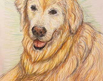 Pet Portrait Custom, Colored Pencil - Etsy