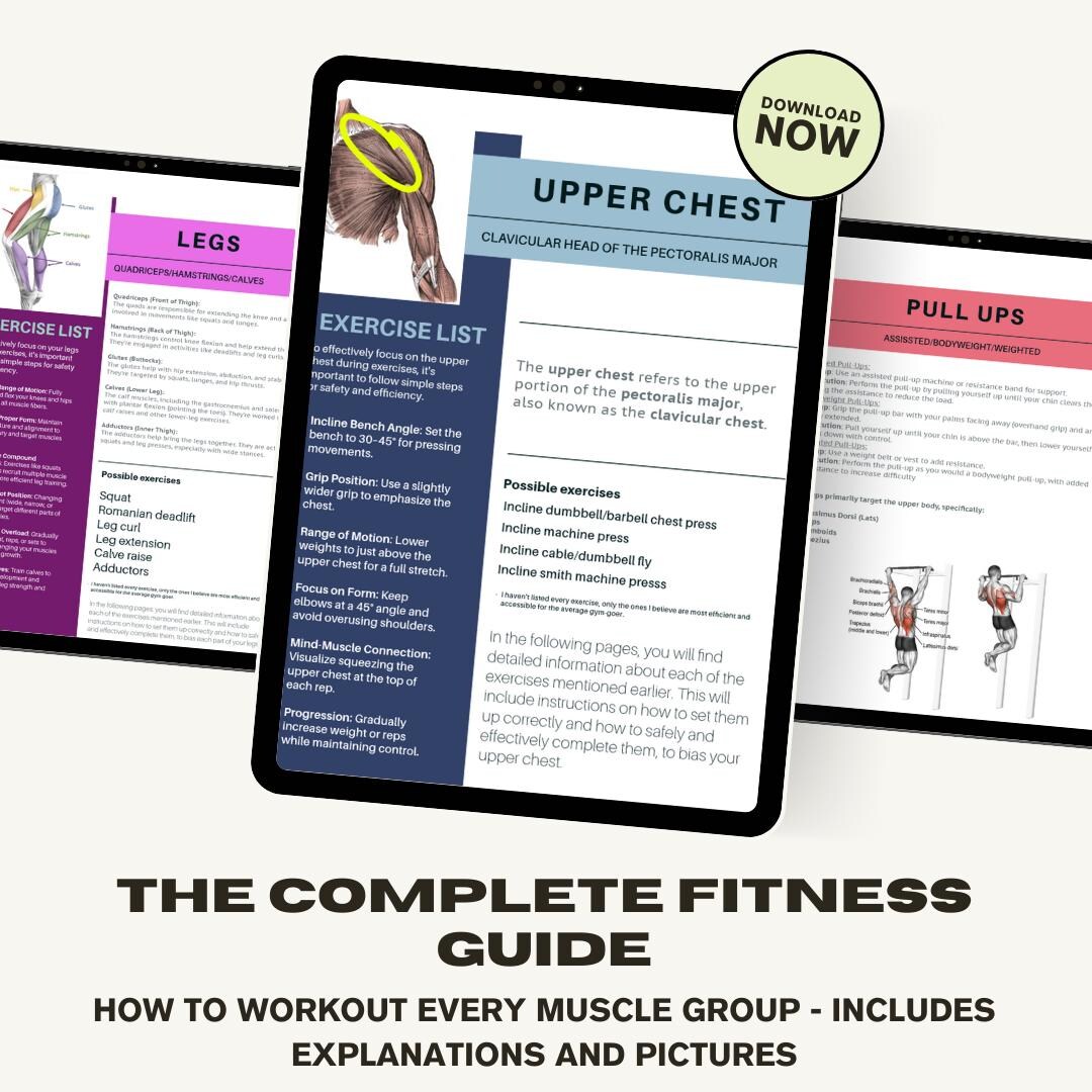 Complete Fitness Guide: Gym Exercises & Workout Cheat Sheet - Etsy