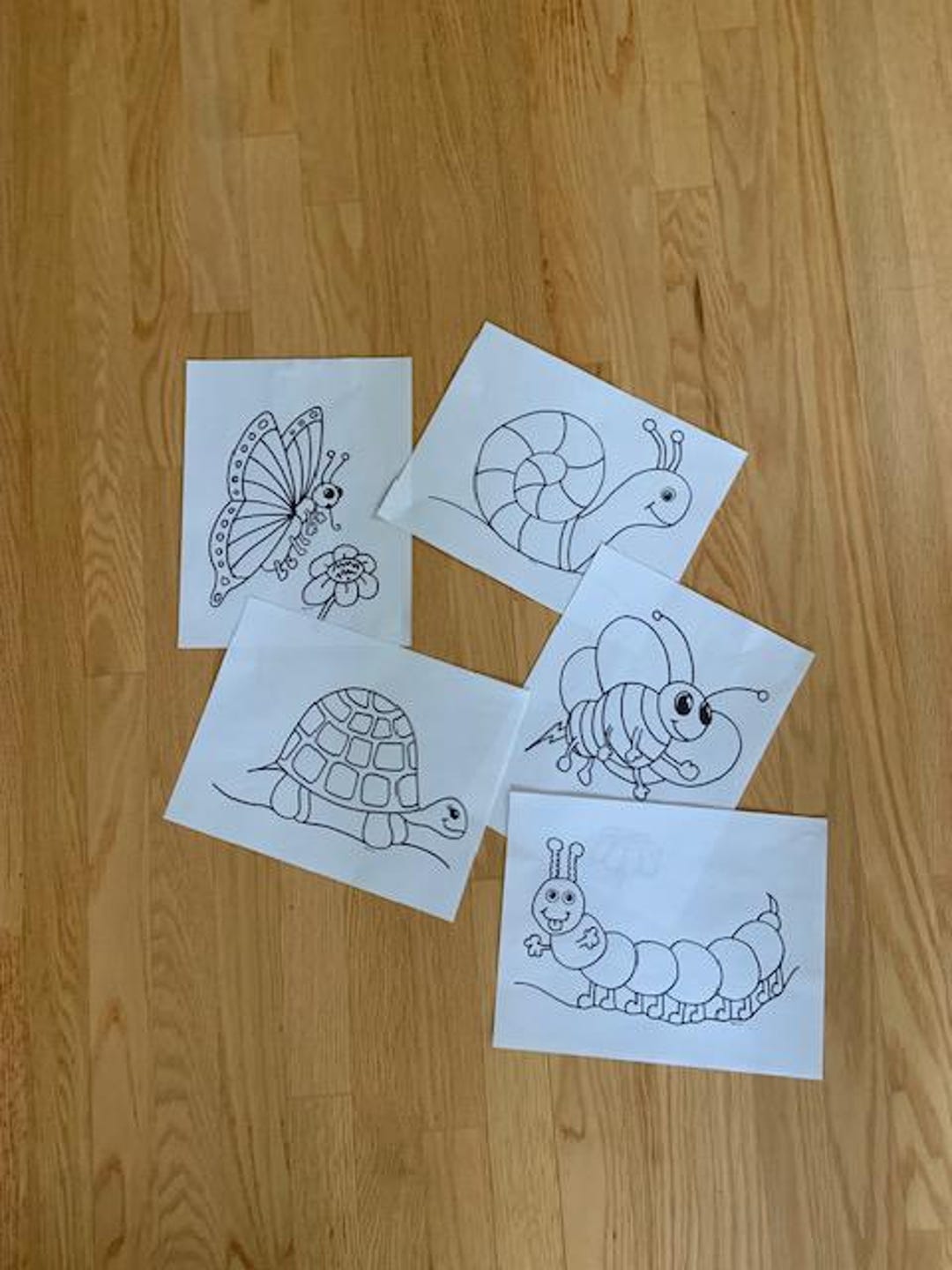 Preschool Coloring Pages - Garden Creatures - Original Art - Etsy