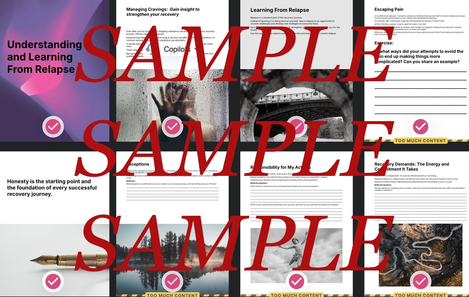 Understanding and Learning From Relapse (16 Page Recovery Workbook) - Etsy