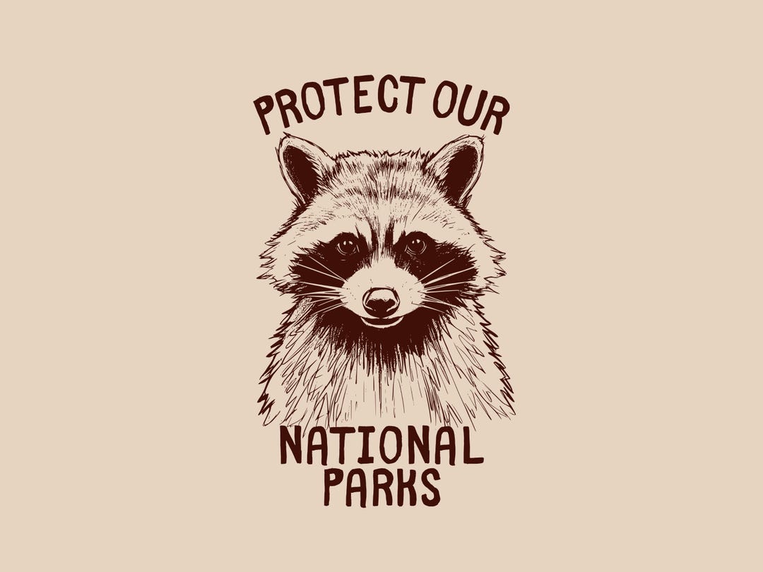 Protect Our National Parks Shirt, Save Our Parks T-shirt, National Park ...