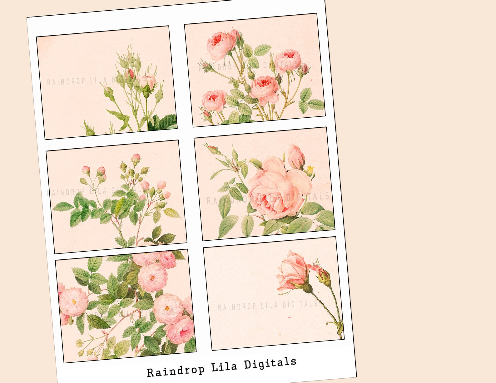 Peachy PINK Roses Printable Paper Kit Envelopes Notecards - Etsy