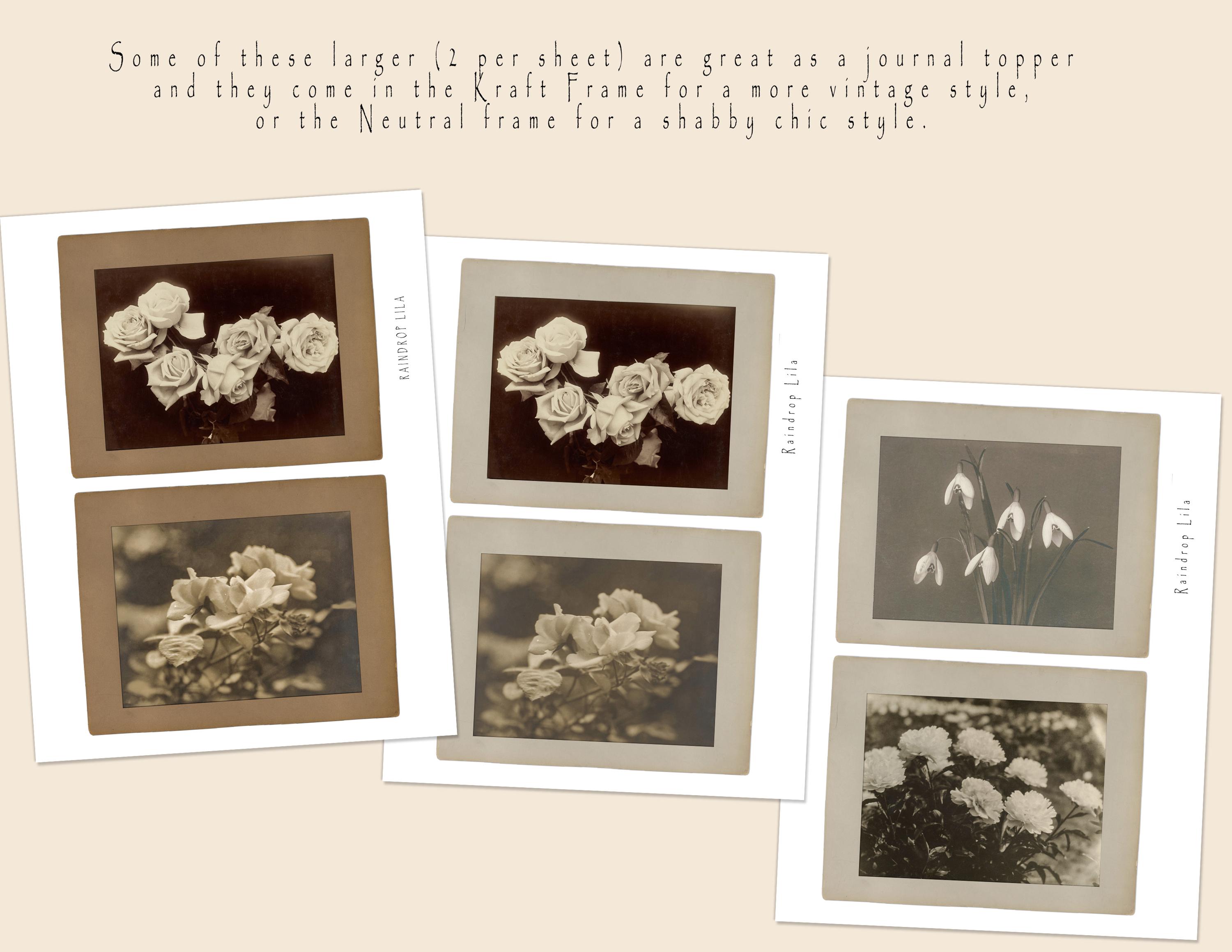 Vintage Sepia Floral Photography Printable Kit, Cornelia's Garden ...