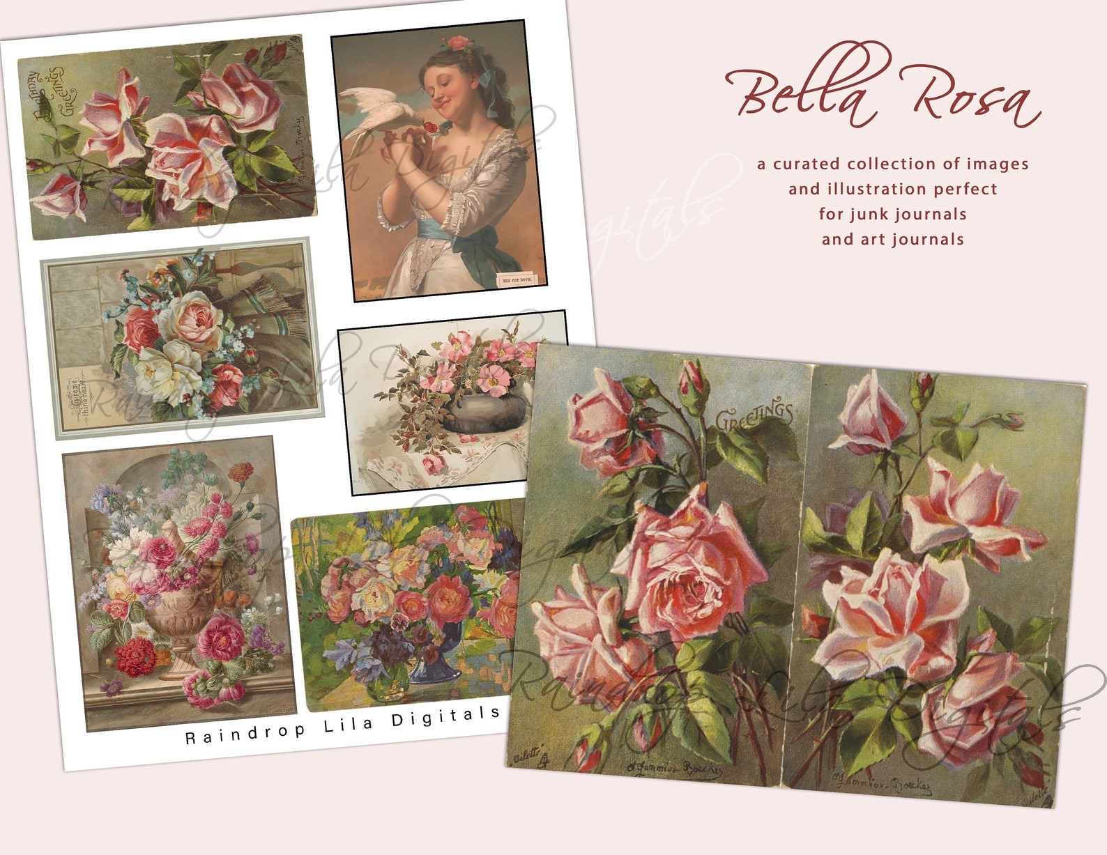 Bella Rose Digital Printable - Etsy