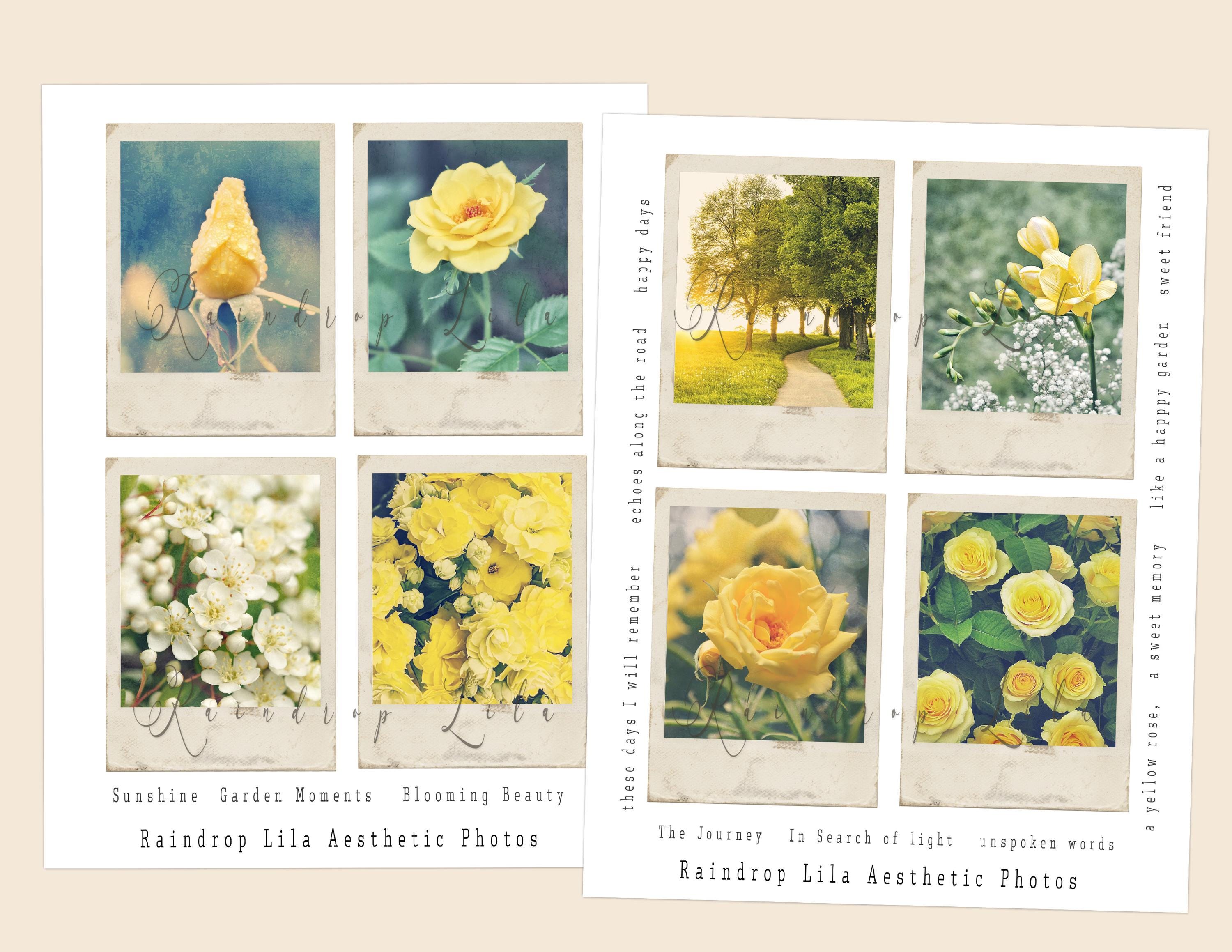 Yellow Roses Aesthetic Instant Photos, Printable, Junk Journal Kit ...