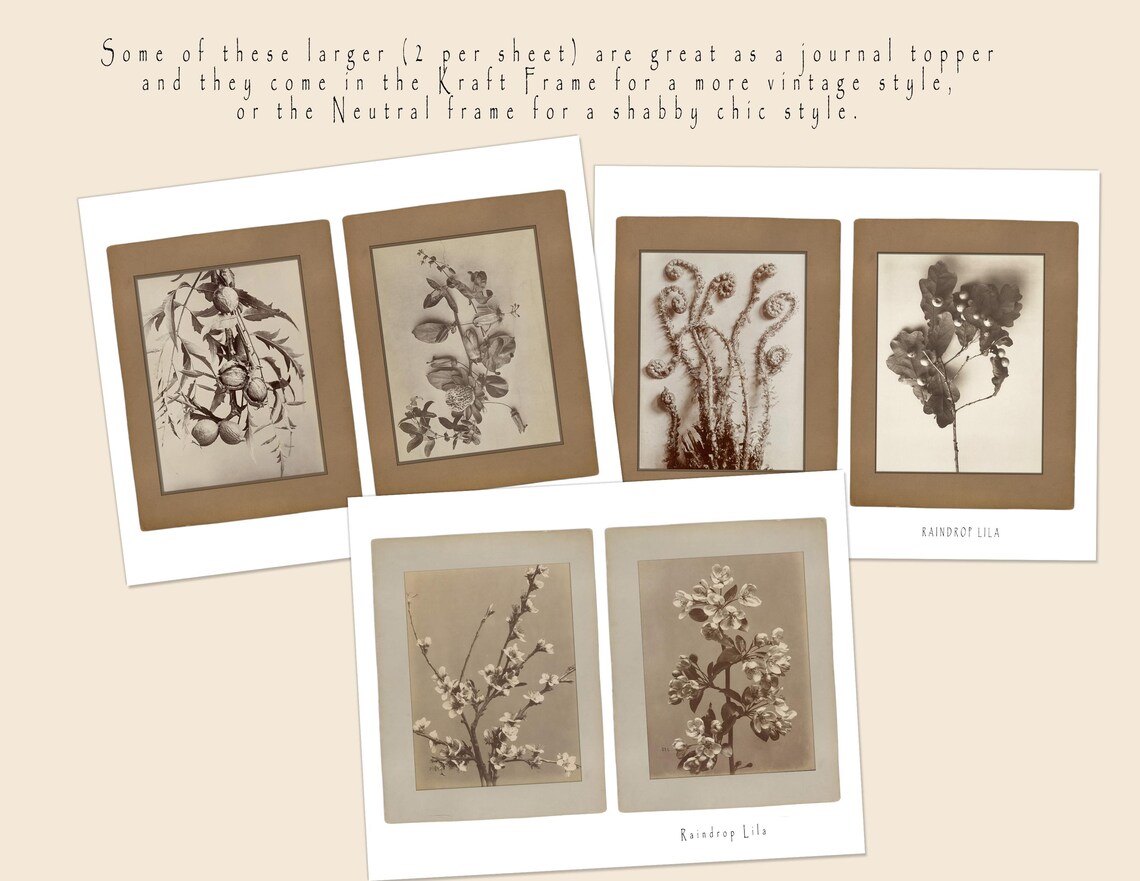 Vintage Sepia Floral Photography Printable Kit, Cornelia's Garden ...