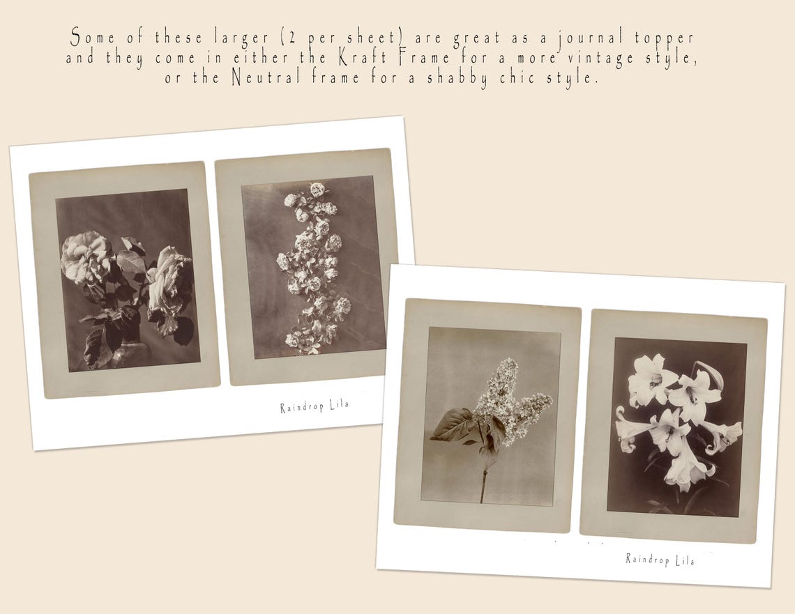 Vintage Sepia Floral Photography Printable Kit, Cornelia's Garden ...
