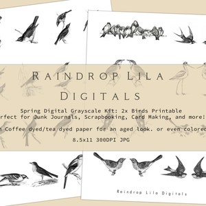 Spring Grayscale Digital Kit Printables for Junk Journaling - Etsy
