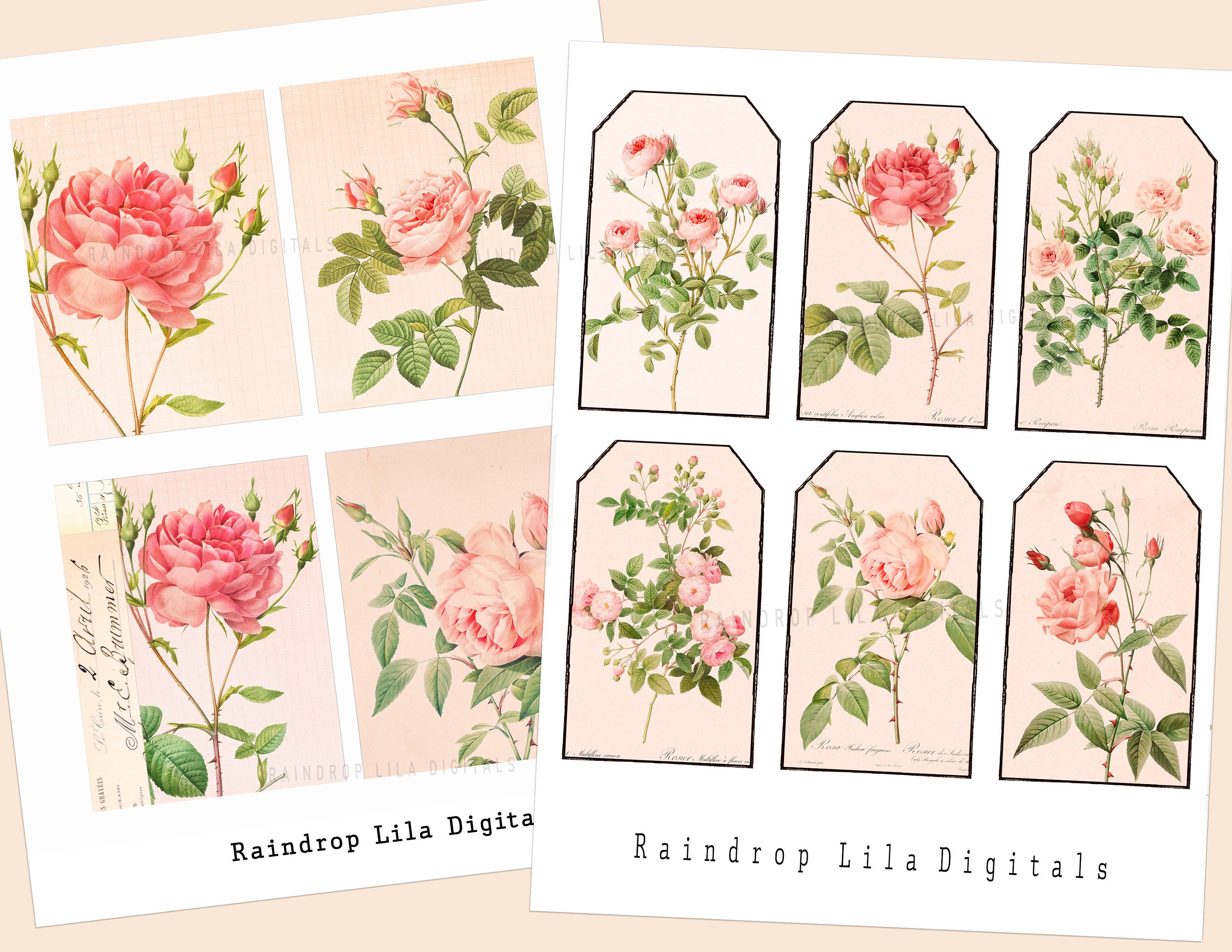 Peachy PINK Roses - Printable Paper Kit- Envelopes, Notecards, Tags ...