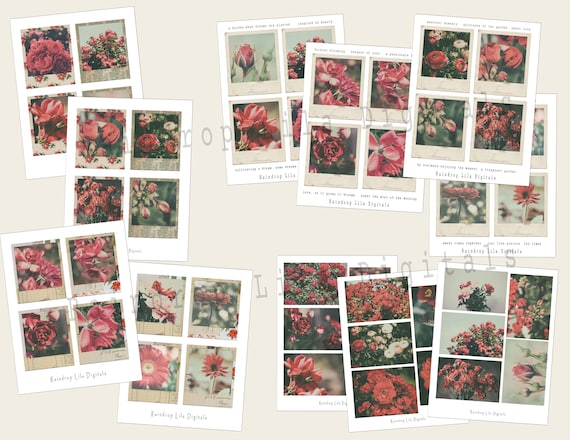 Rosie's FRAMED INSTANT PHOTOS Aesthetic Photos and - Etsy