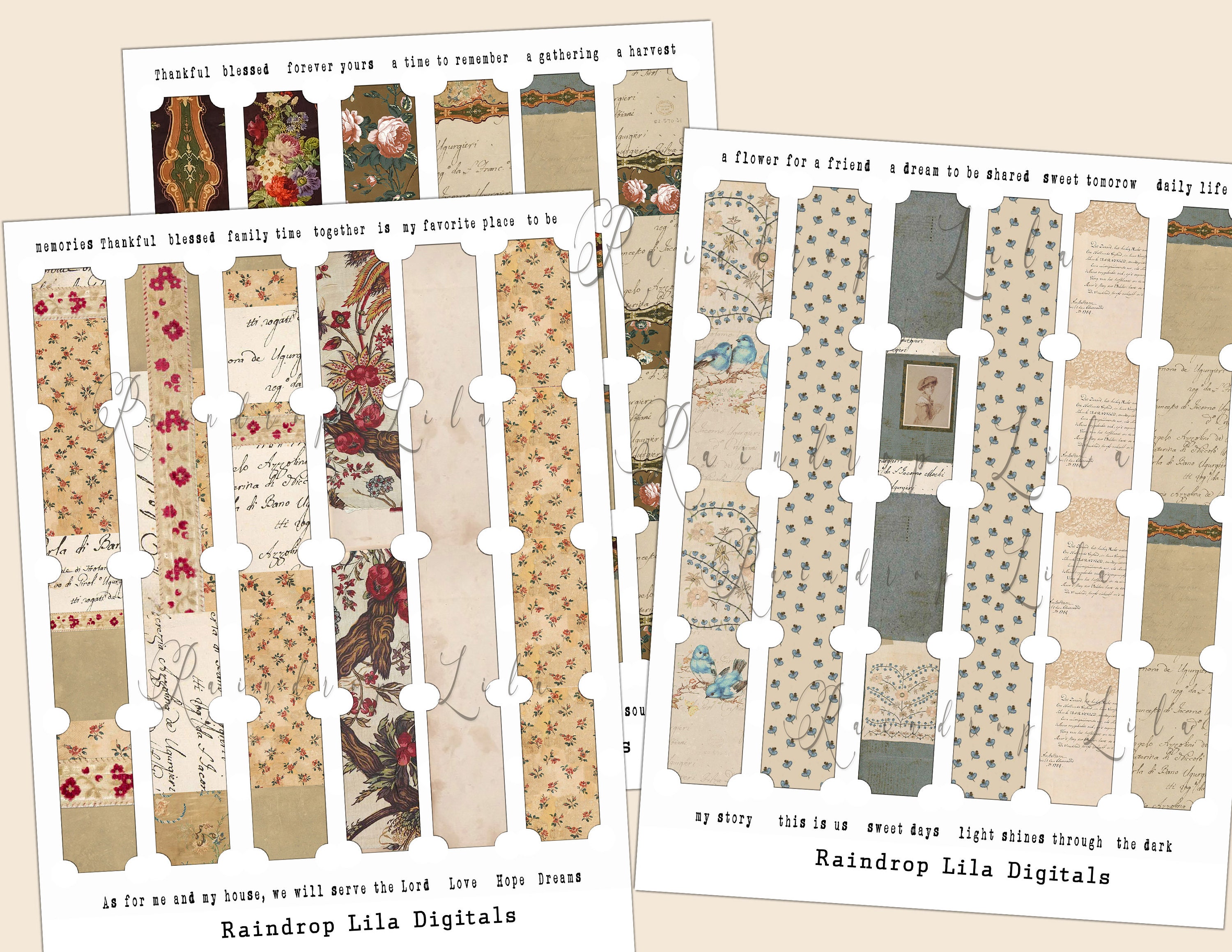 Charlotte EPHEMERA Printable Viewfinder Cassette Tapes - Etsy