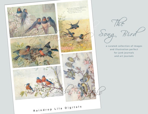 The Song Bird Printable | Etsy