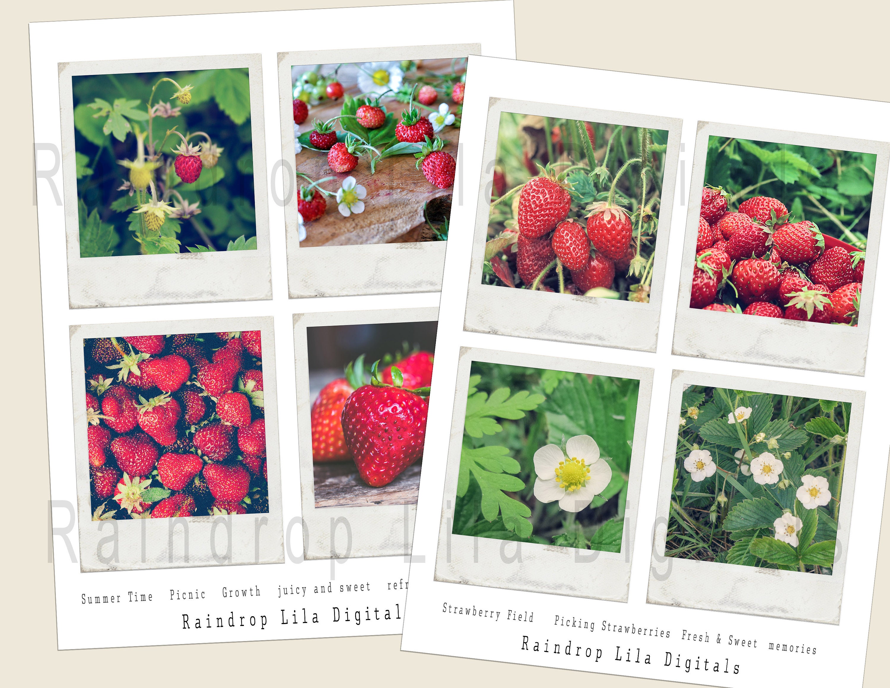 Strawberry Field Aesthetic Instant Photo Printables Framed - Etsy