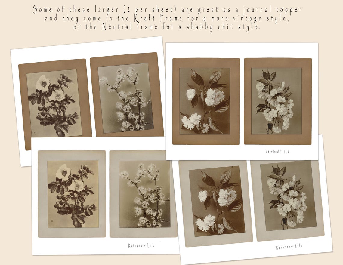 Vintage Sepia Floral Photography Printable Kit, Cornelia's Garden ...