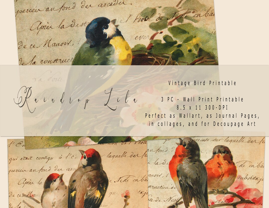 Vintage Bird Printable Wall Prints -landscape Format- 8.5x11 -INSTANT ...