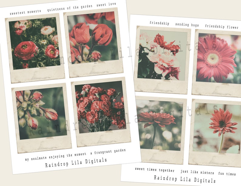 Rosie's FRAMED INSTANT PHOTOS, Aesthetic Photos, and Sentiment ...