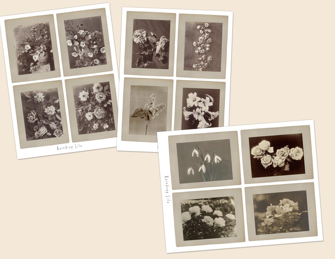 Vintage Sepia Floral Photography Printable Kit, Cornelia's Garden ...