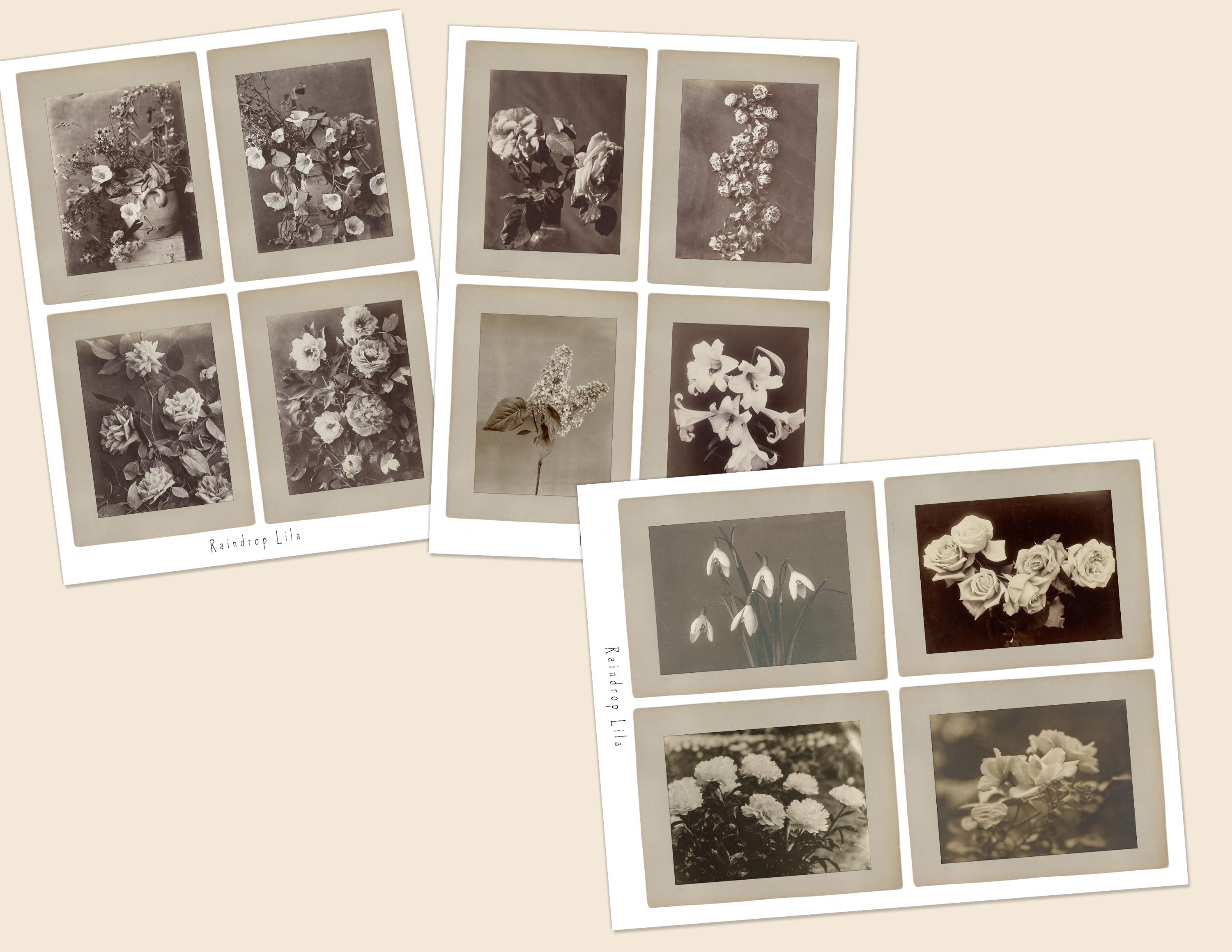 Vintage Sepia Floral Photography Printable Kit, Cornelia's Garden ...