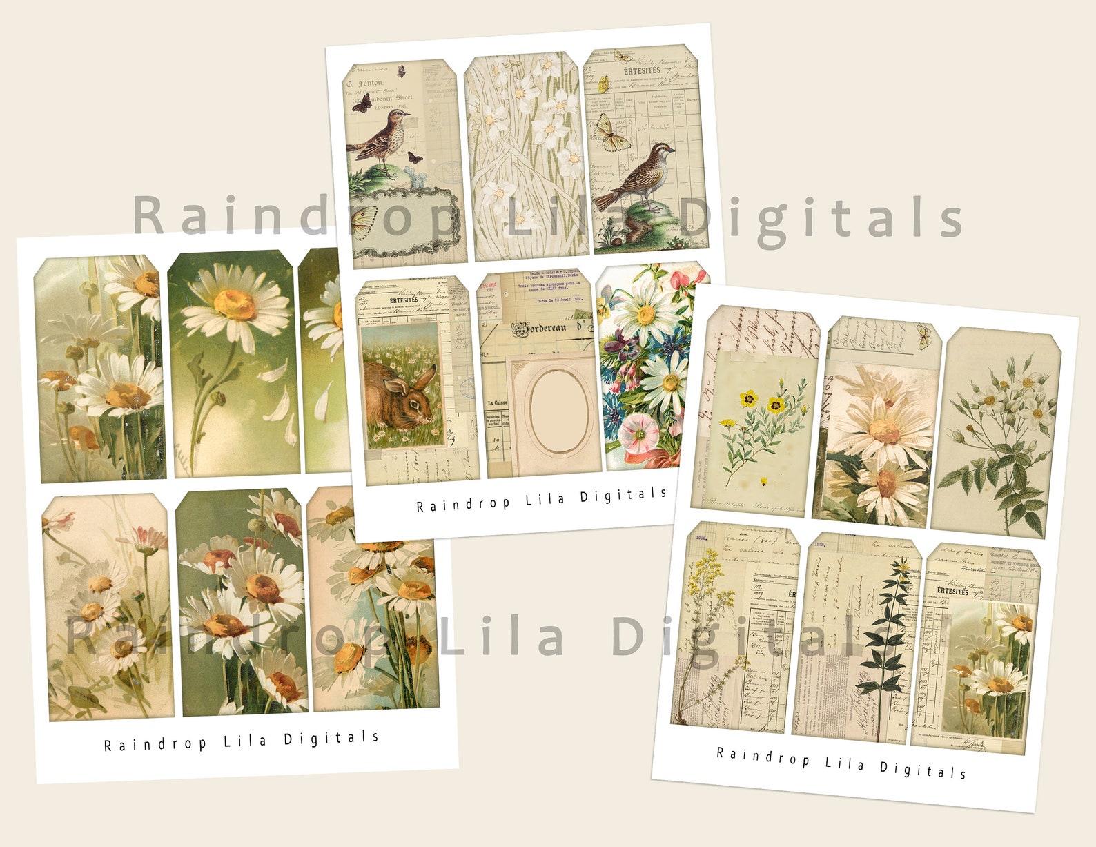 Daisy Ephemera ADD ON Collection - SPRING - Digital Printable for Junk ...