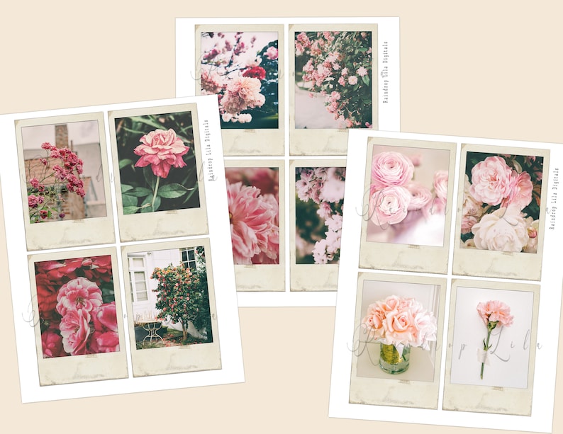 Pink and Red Rose Printable INSTANT DOWNLOAD Floral - Etsy