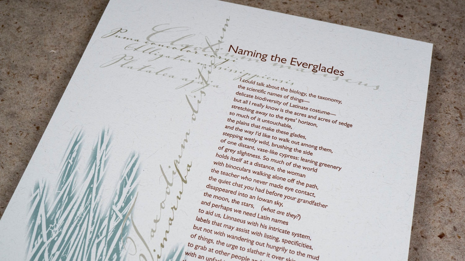Signed Letterpress Poetry Broadside — "naming the Everglades" by Poet ...