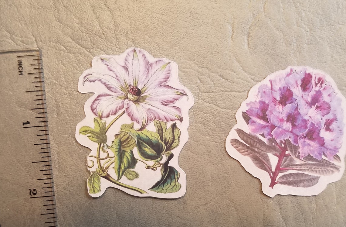 Mini Paper Ephemera Pack, Pre Cut Ephemera, Purple Flowers Ephemera ...