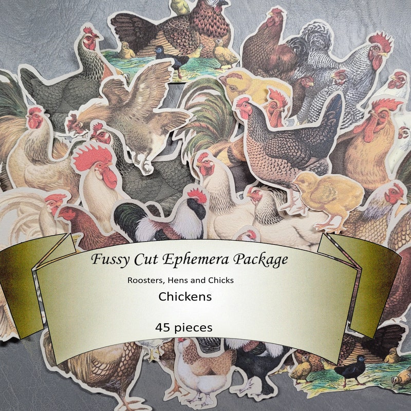 Chicken Cut Outs - Etsy