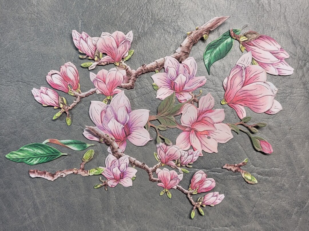 Magnolia Blossom Die Cut Ephemera, 20 Pieces Magnolia Fussy Cuts - Etsy