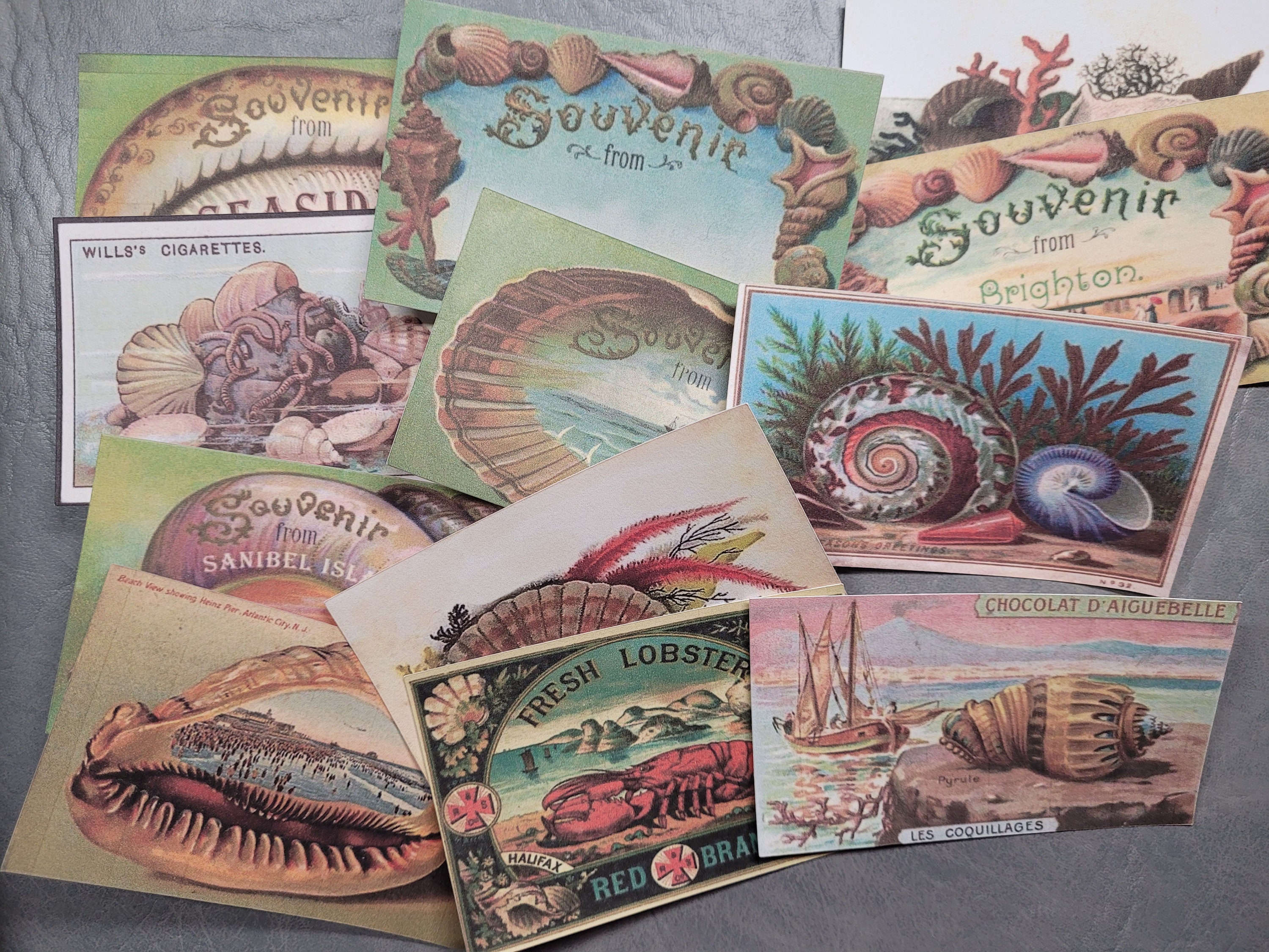 Beach Ephemera, Pre Cut Ephemera, Faux Trading Cards, Faux Travel ...